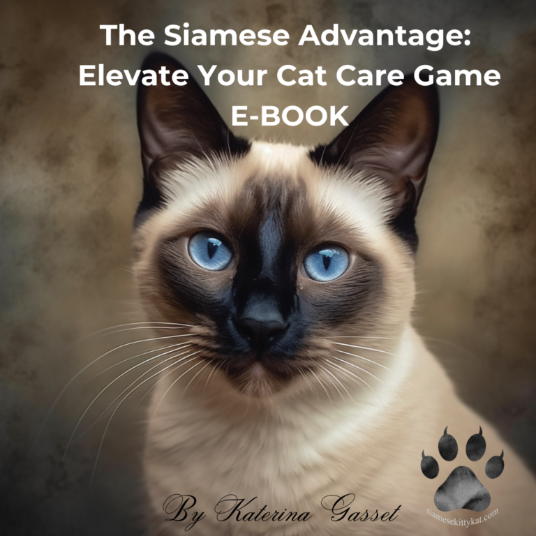 Common Siamese Cat Skin Issues & How to Treat
